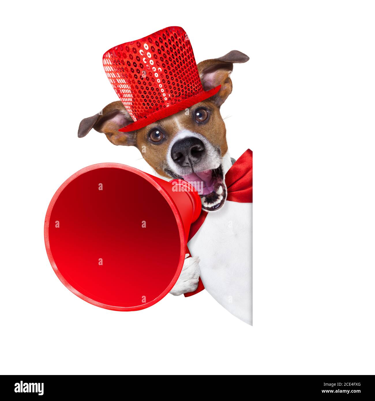 Yell dog hi-res stock photography and images - Alamy