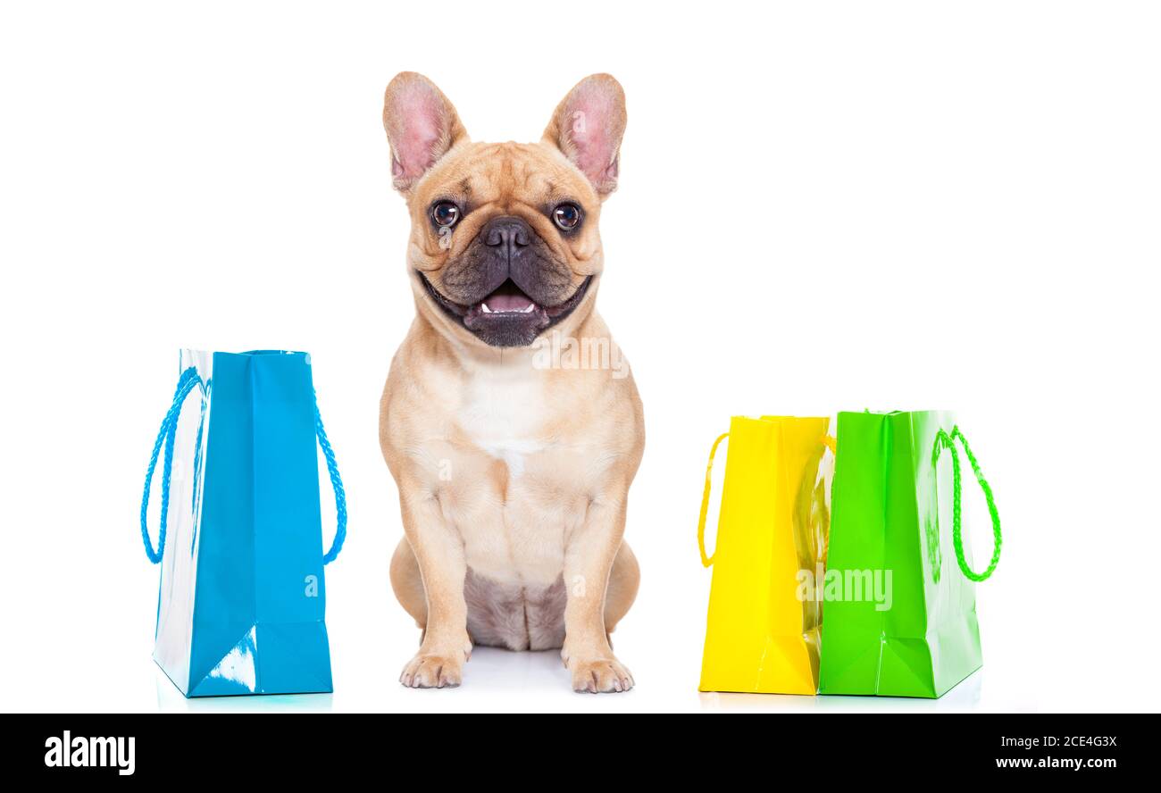 sale shopping dog Stock Photo - Alamy