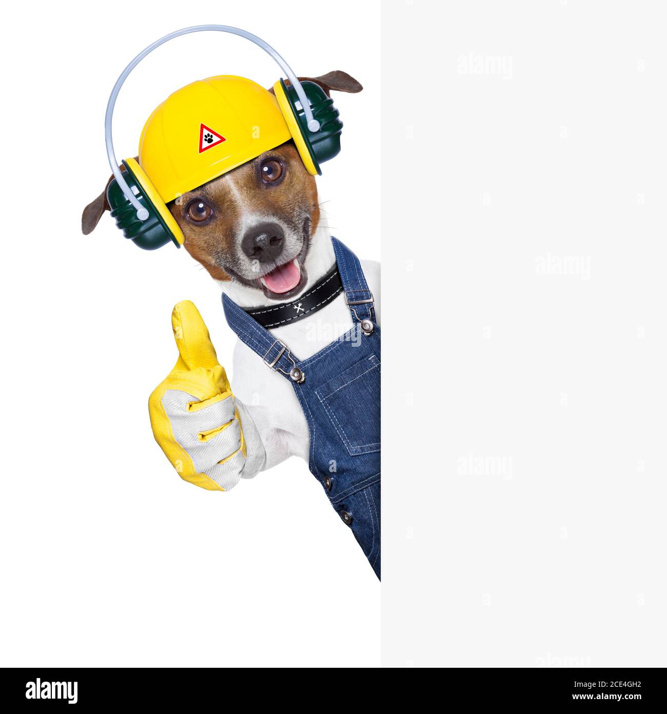Dog under construction hi-res stock photography and images - Alamy