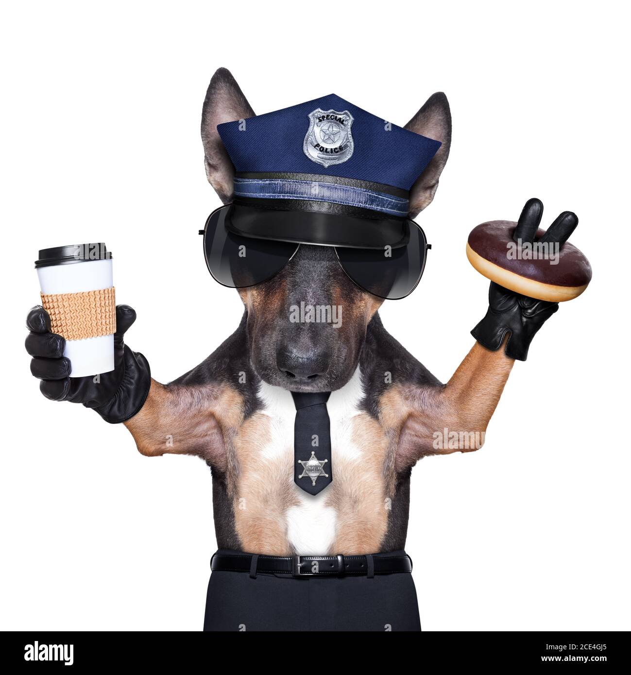 Policeman security guard police dog hi-res stock photography and images ...