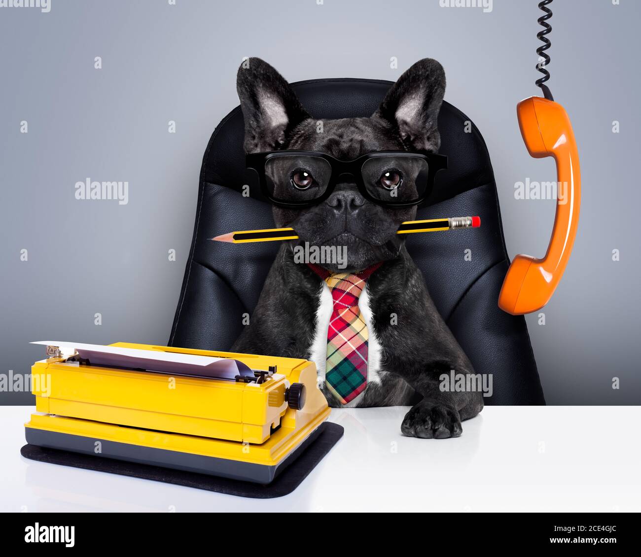 office worker boss dog Stock Photo - Alamy