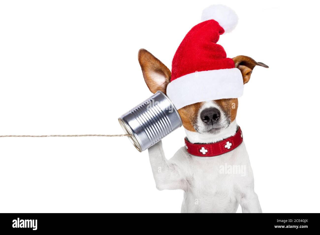 Animal phone Cut Out Stock Images & Pictures - Alamy