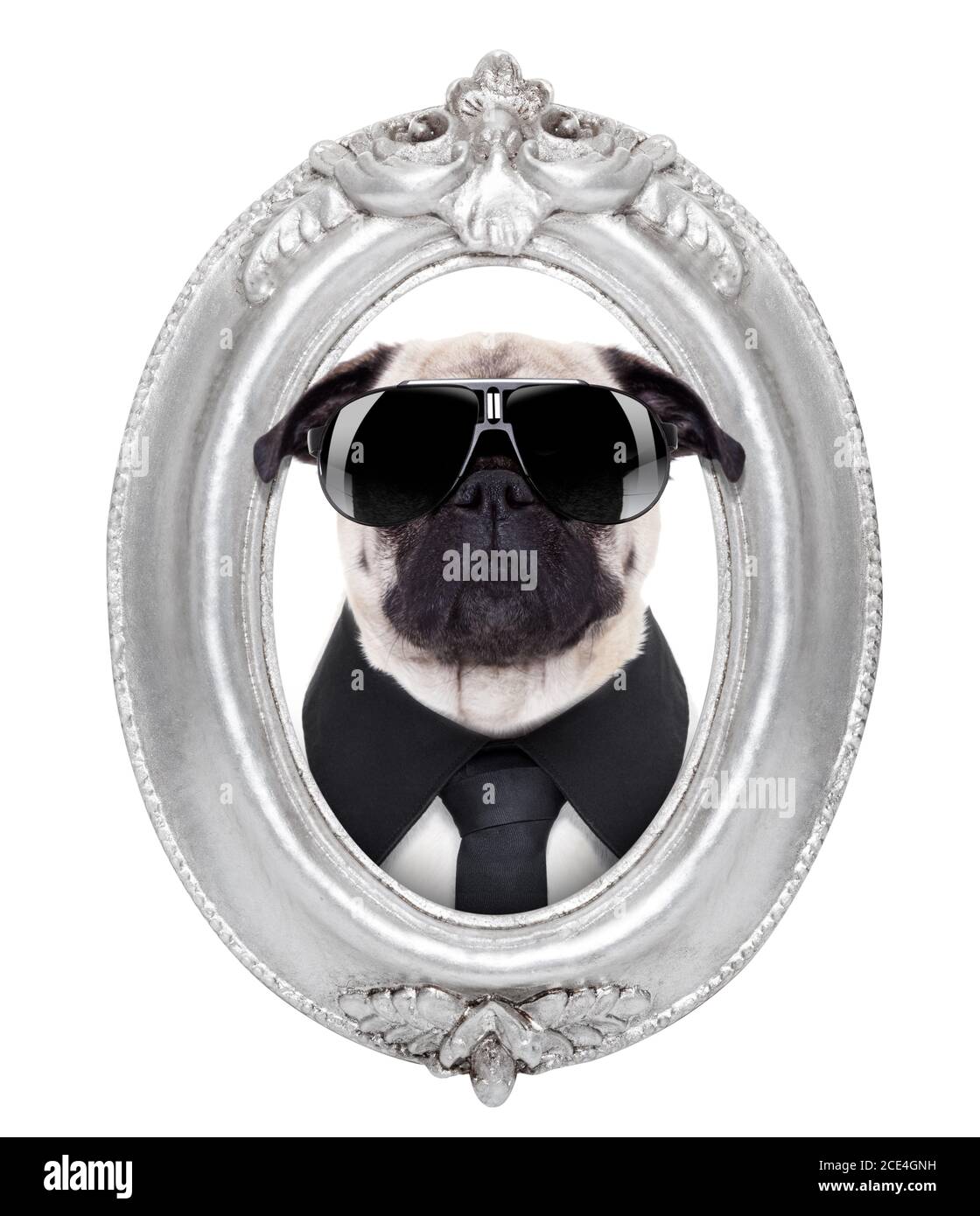 dog in a frame Stock Photo - Alamy