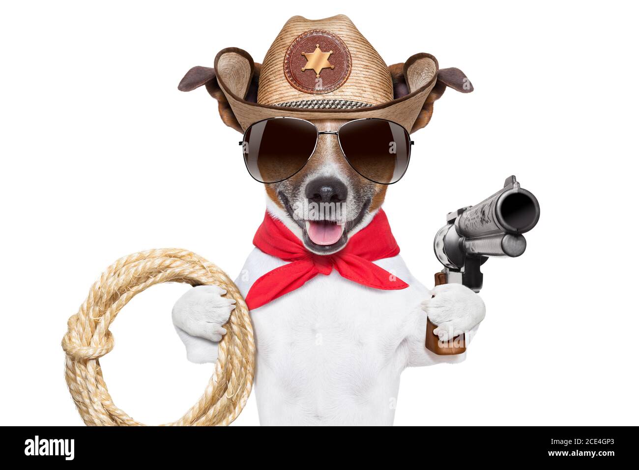 Outlaw dog hi-res stock photography and images - Alamy