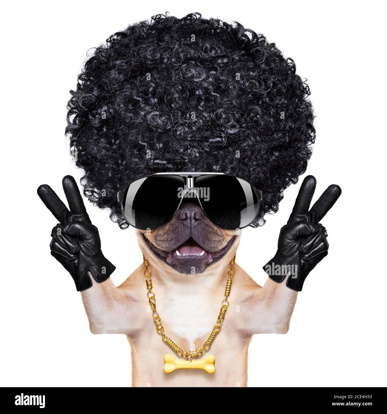 Gangster animal hi-res stock photography and images - Alamy