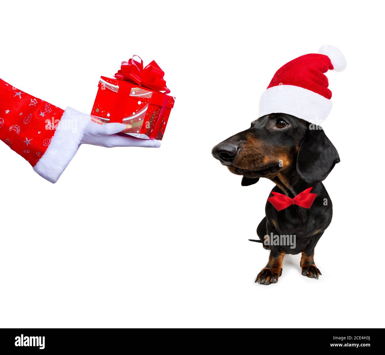 christmas santa claus dog Stock Photo - Alamy
