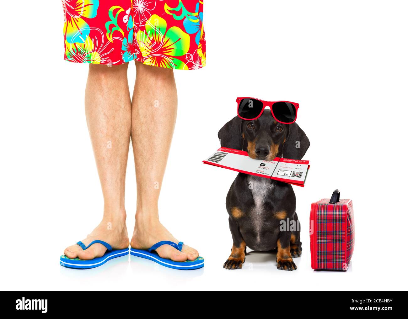 Dog owner together in Cut Out Stock Images & Pictures - Alamy