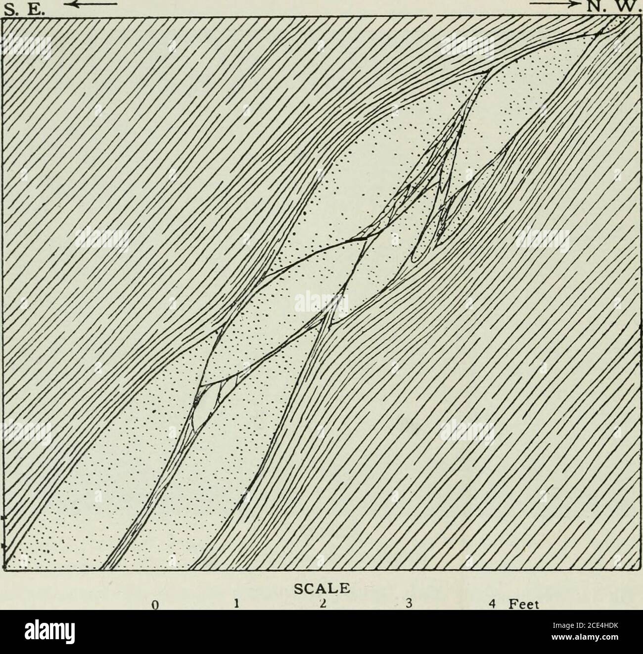 Lenticular bed hi-res stock photography and images - Alamy