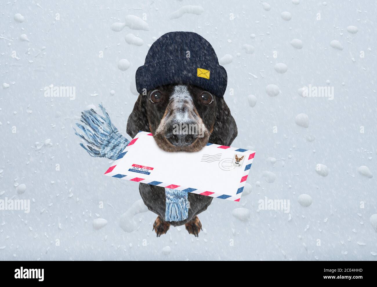dog mail deliver postal post man Stock Photo - Alamy