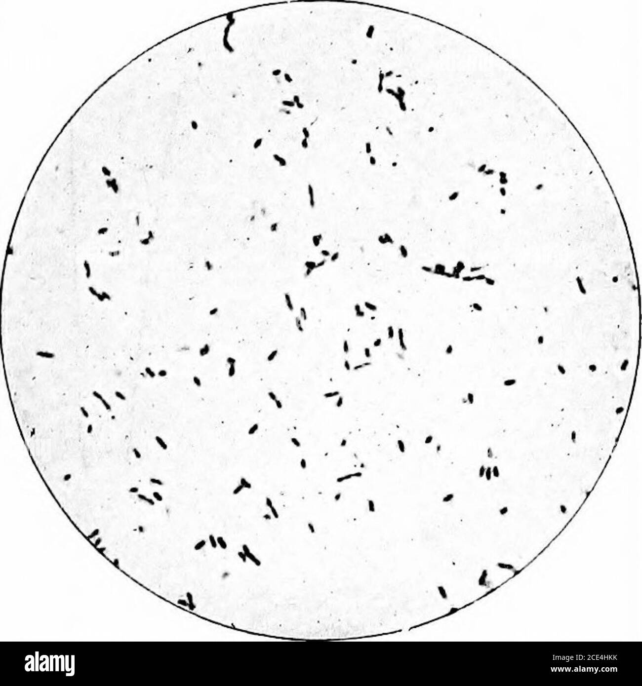 Expectoration Black and White Stock Photos & Images - Alamy