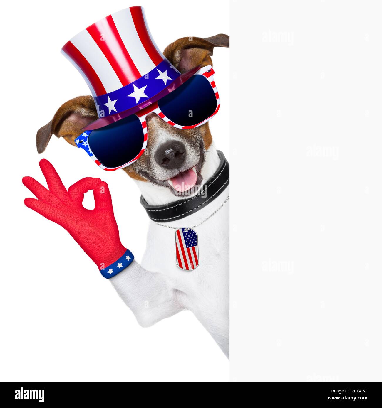 usa american dog Stock Photo - Alamy