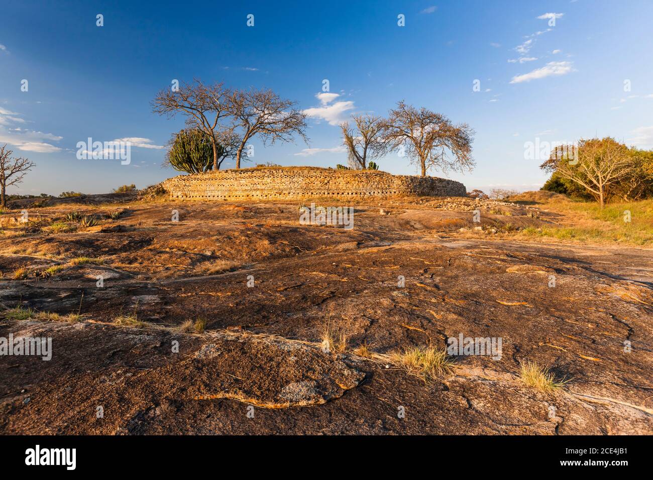 Dhlo hi-res stock photography and images - Alamy