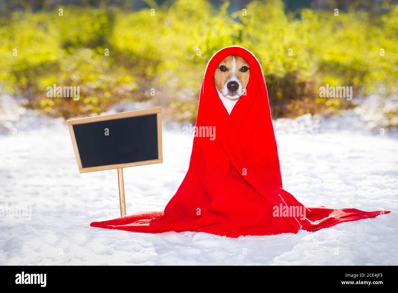 Freezing icy hi-res stock photography and images - Alamy