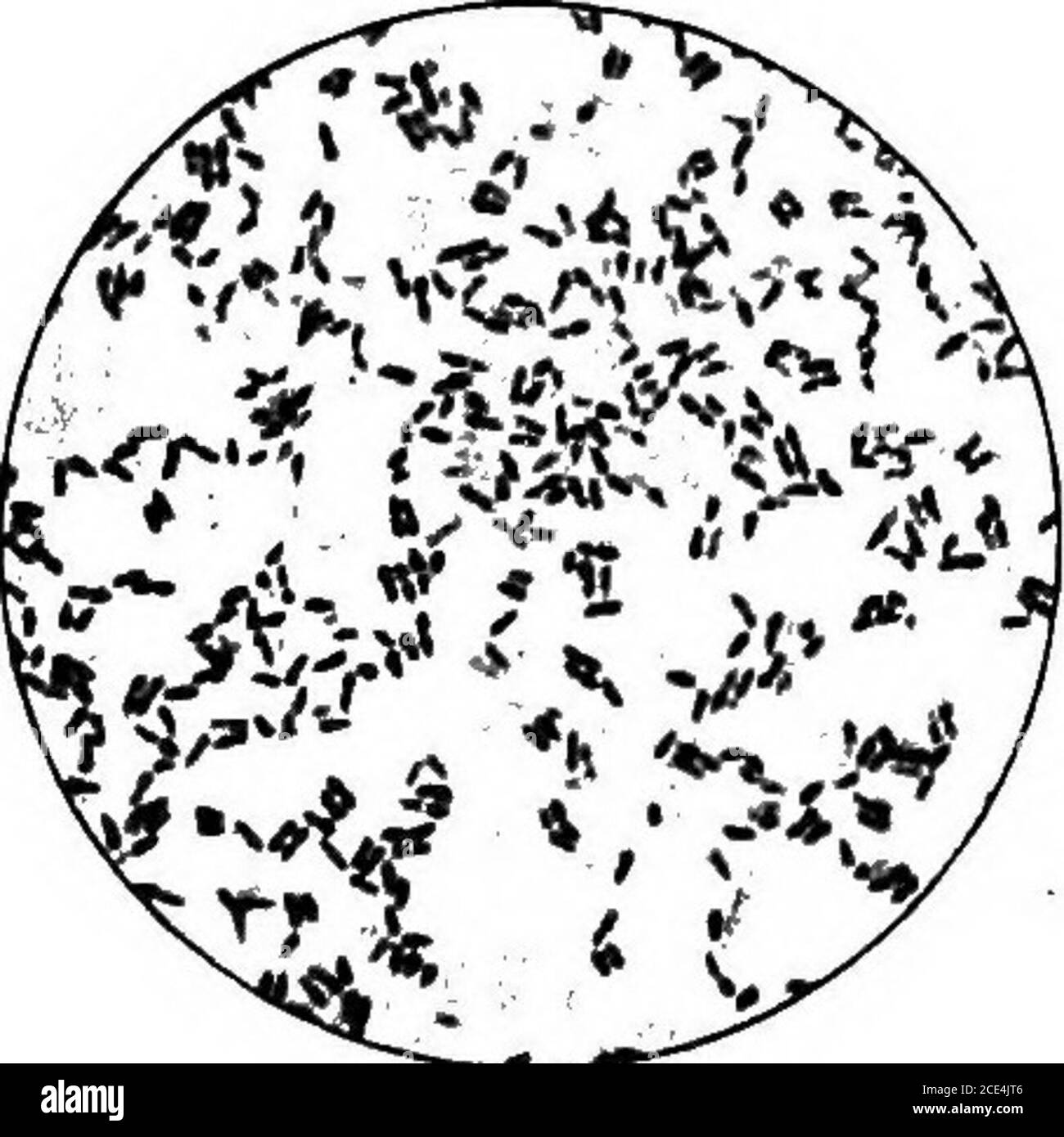 Xerosis Black and White Stock Photos & Images - Alamy