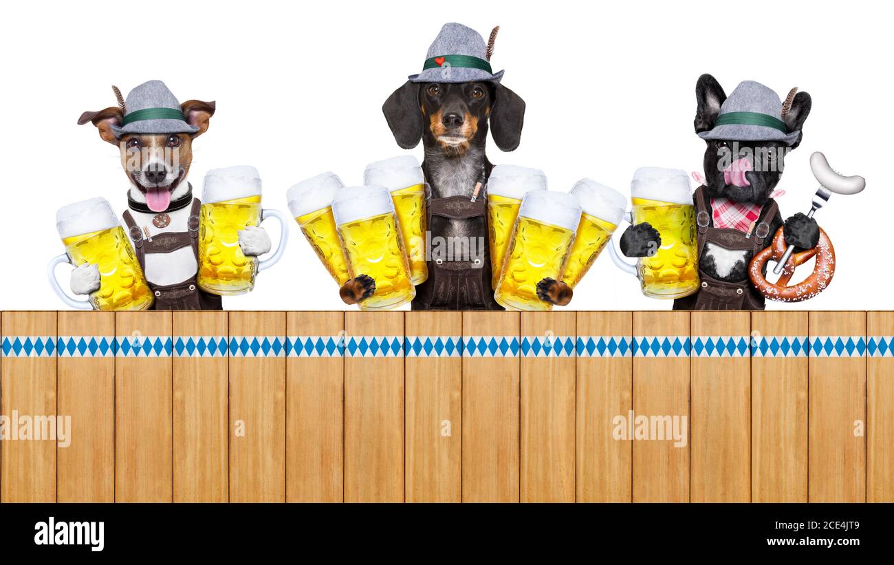 bavarian beer dogs row Stock Photo - Alamy