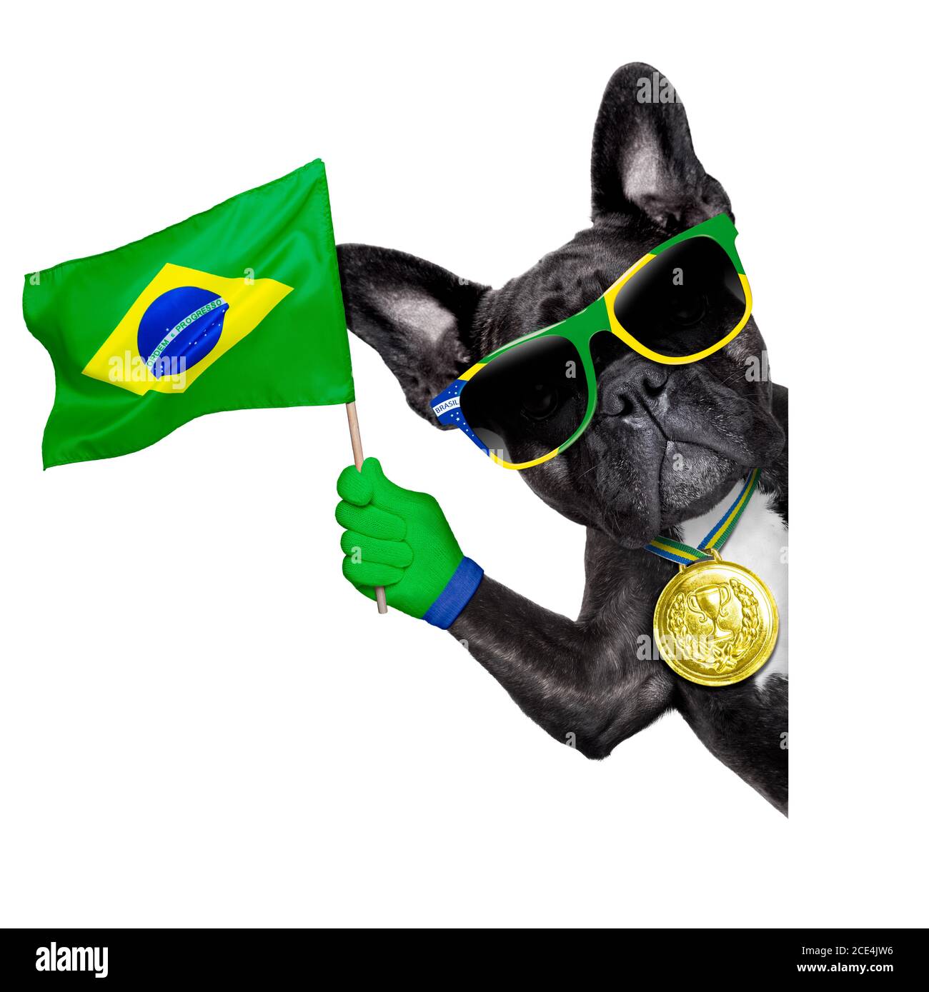 Brazilian bulldog hi-res stock photography and images - Alamy