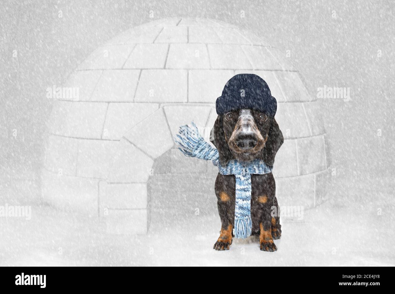 Freezing house funny hi-res stock photography and images - Alamy