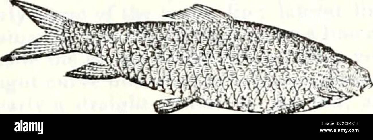 10 pounds scale hi-res stock photography and images - Alamy