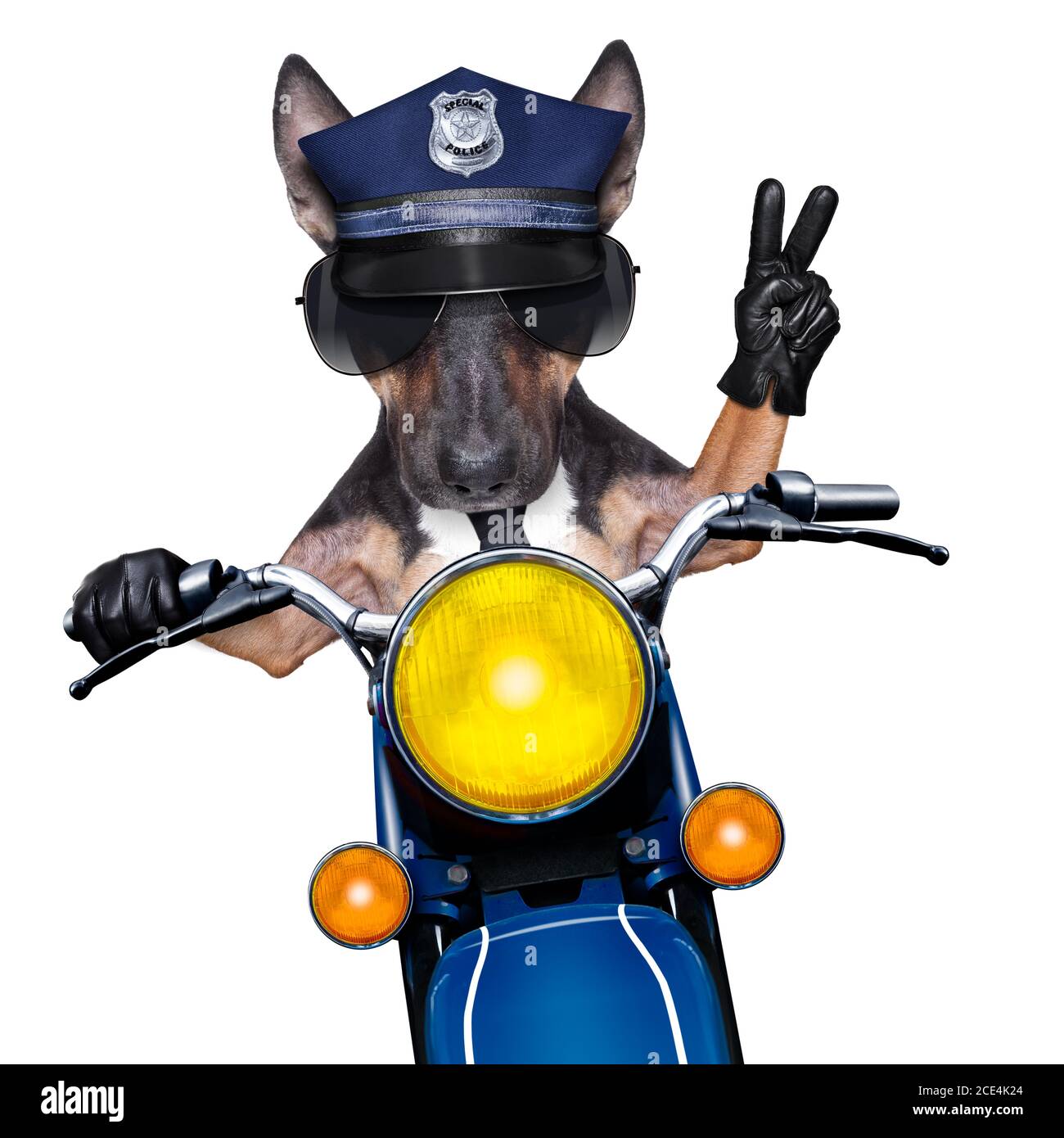 Dog and motorbike hi-res stock photography and images - Alamy