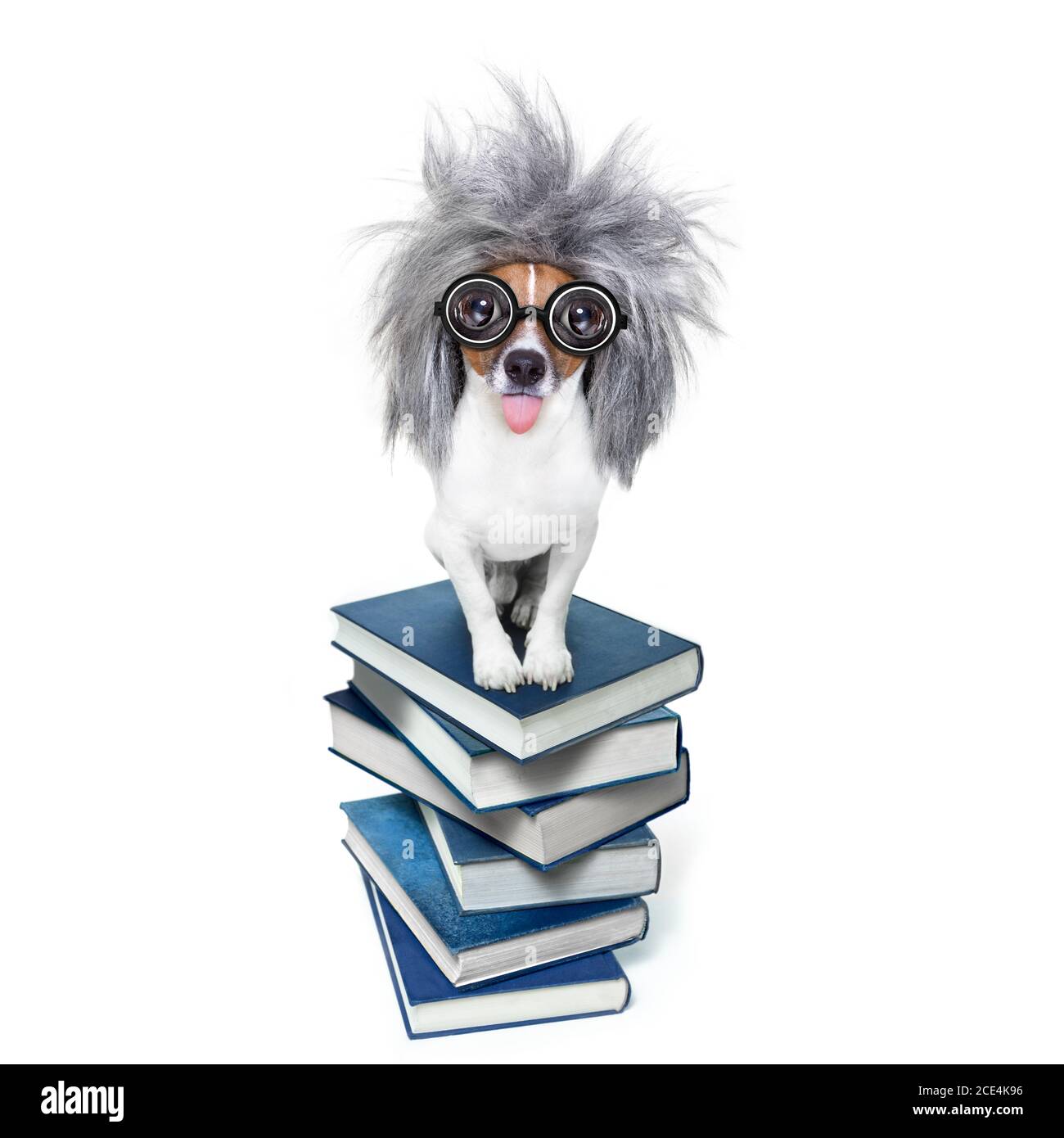 Intelligent wise hi-res stock photography and images - Alamy