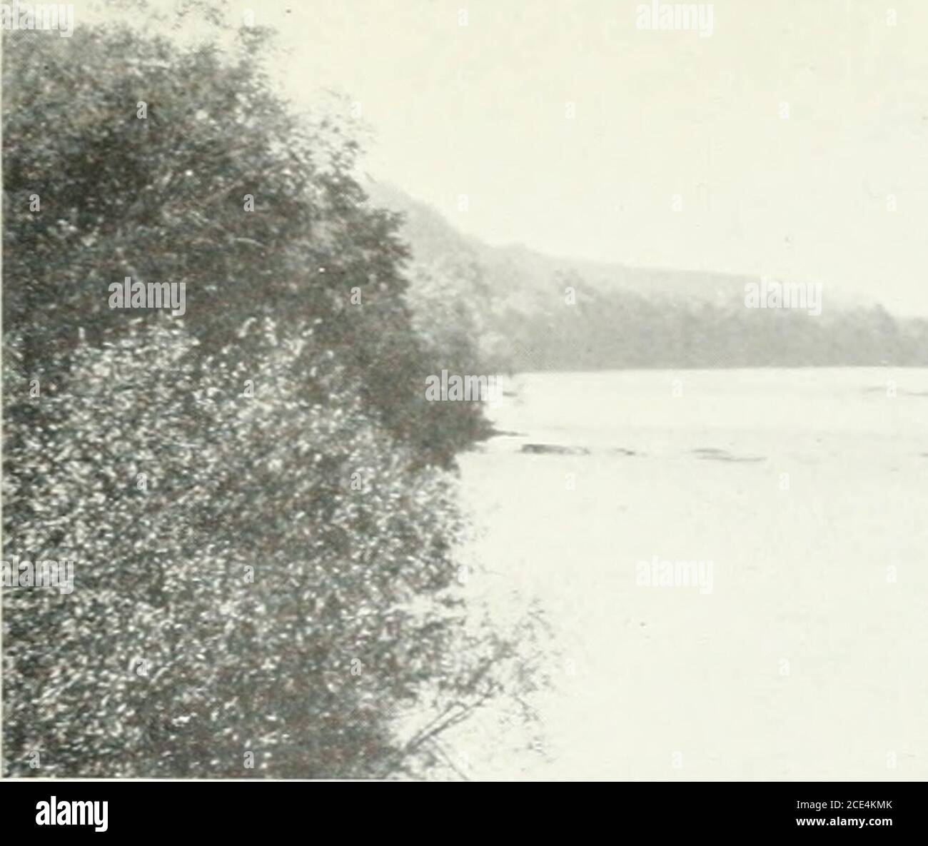 . Bulletin . Numerous small flakes of sericite arepresent, probably ...