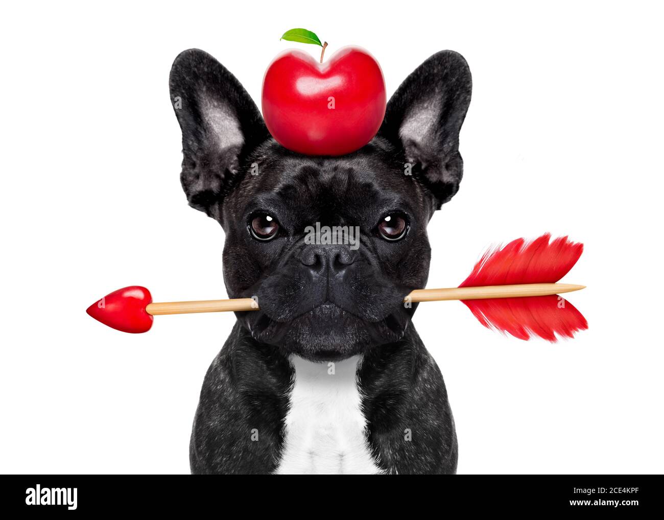 Jack arrow hi-res stock photography and images - Alamy