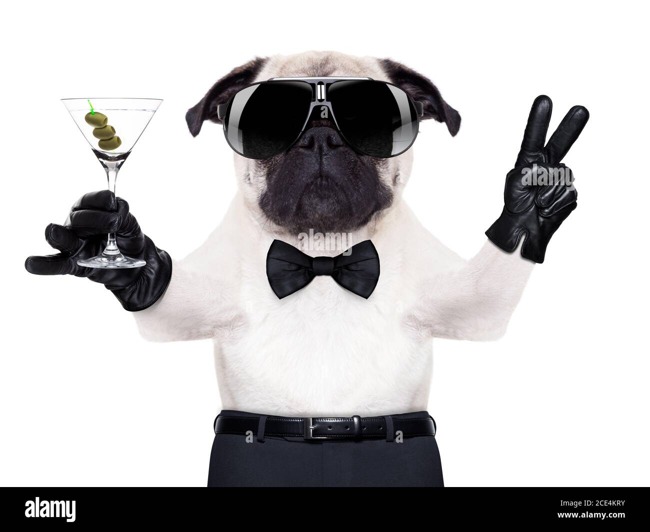 cool dog peace Stock Photo - Alamy