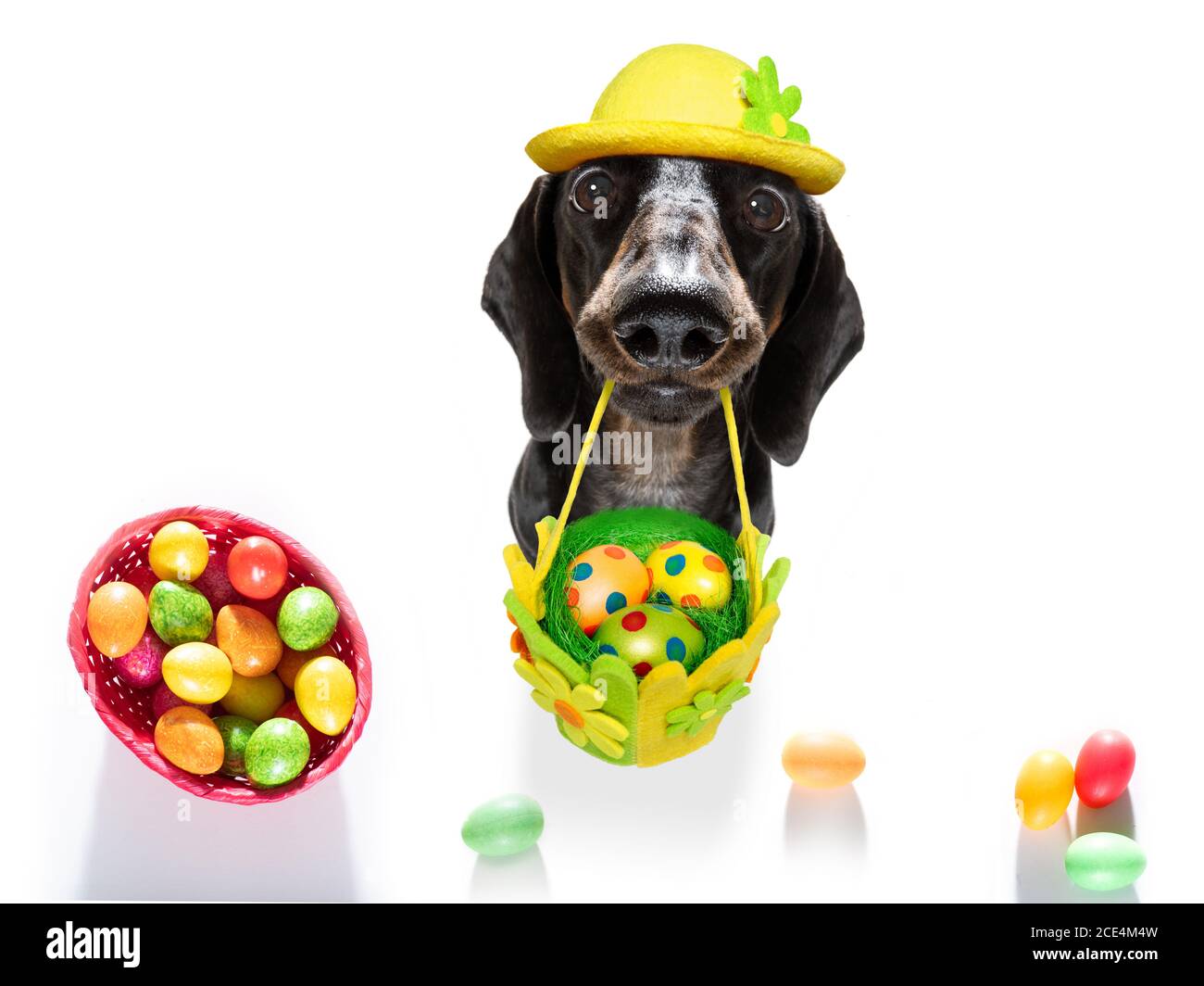 Happy easter frame decorative Cut Out Stock Images & Pictures - Alamy