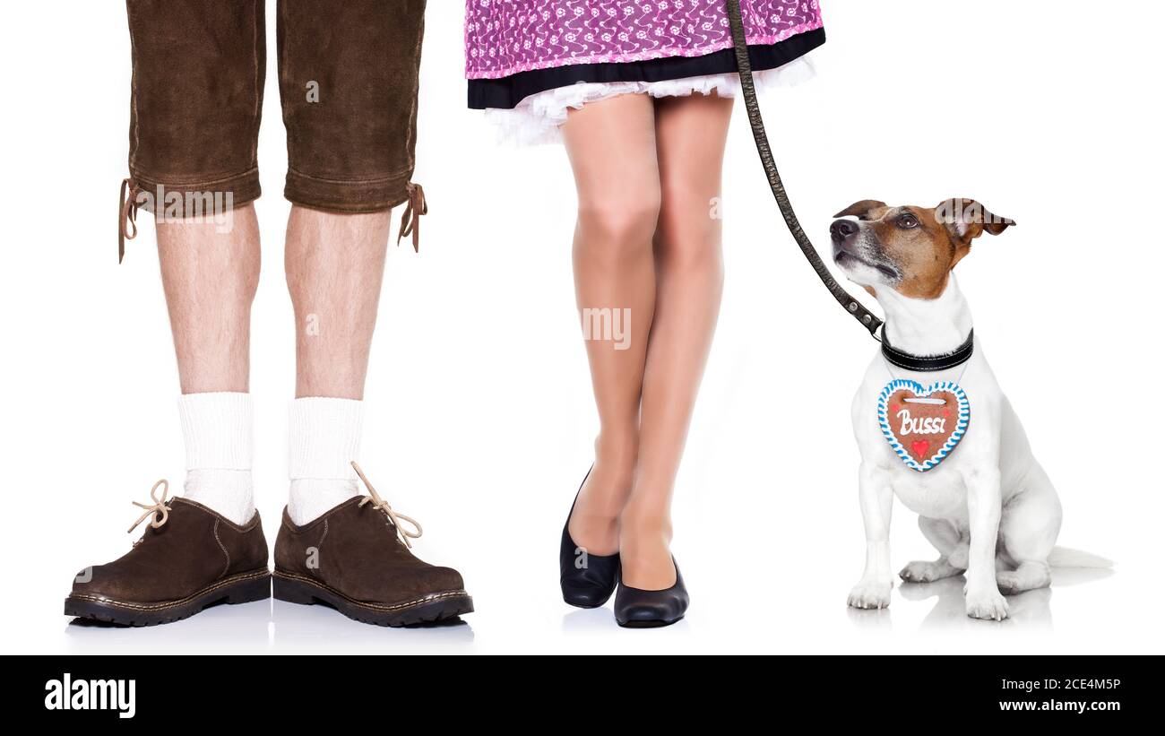 bavarian dog Stock Photo - Alamy