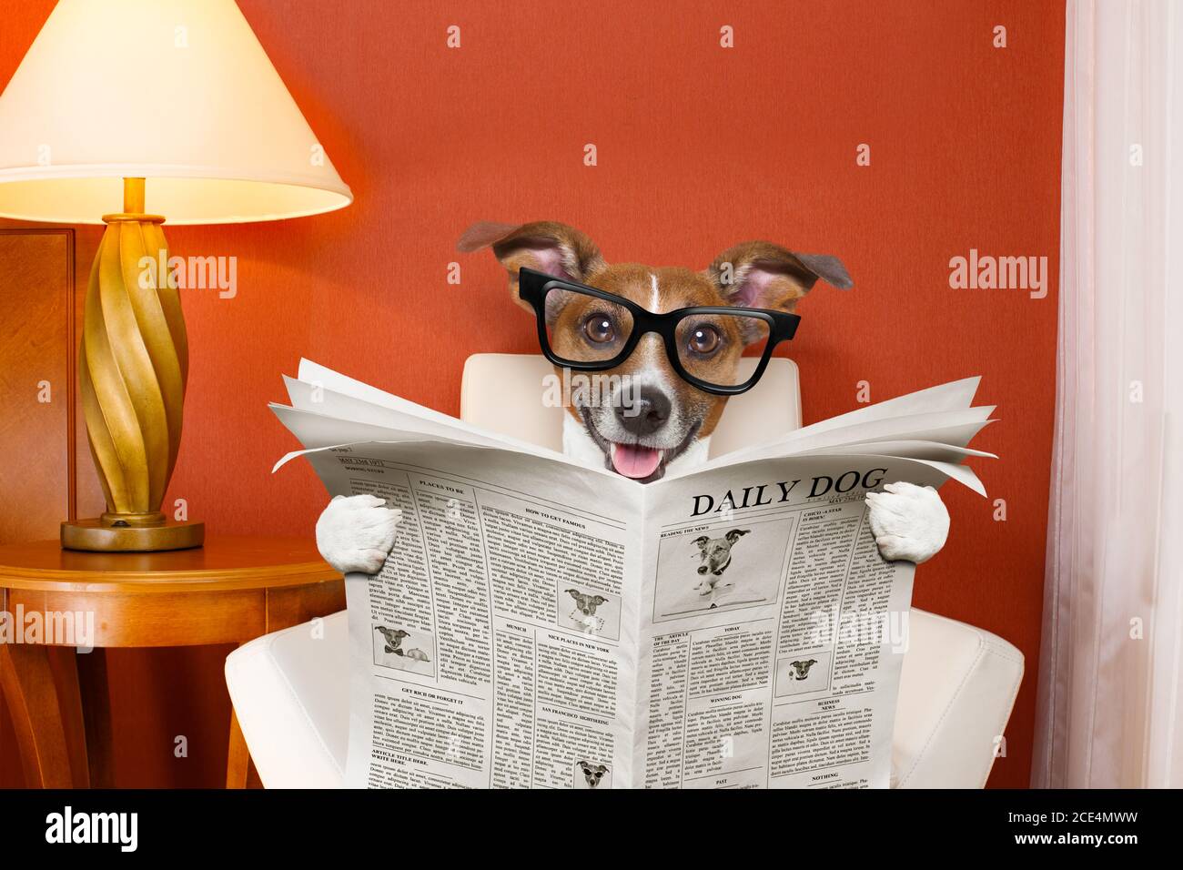 dog reading newspaper at home Stock Photo - Alamy