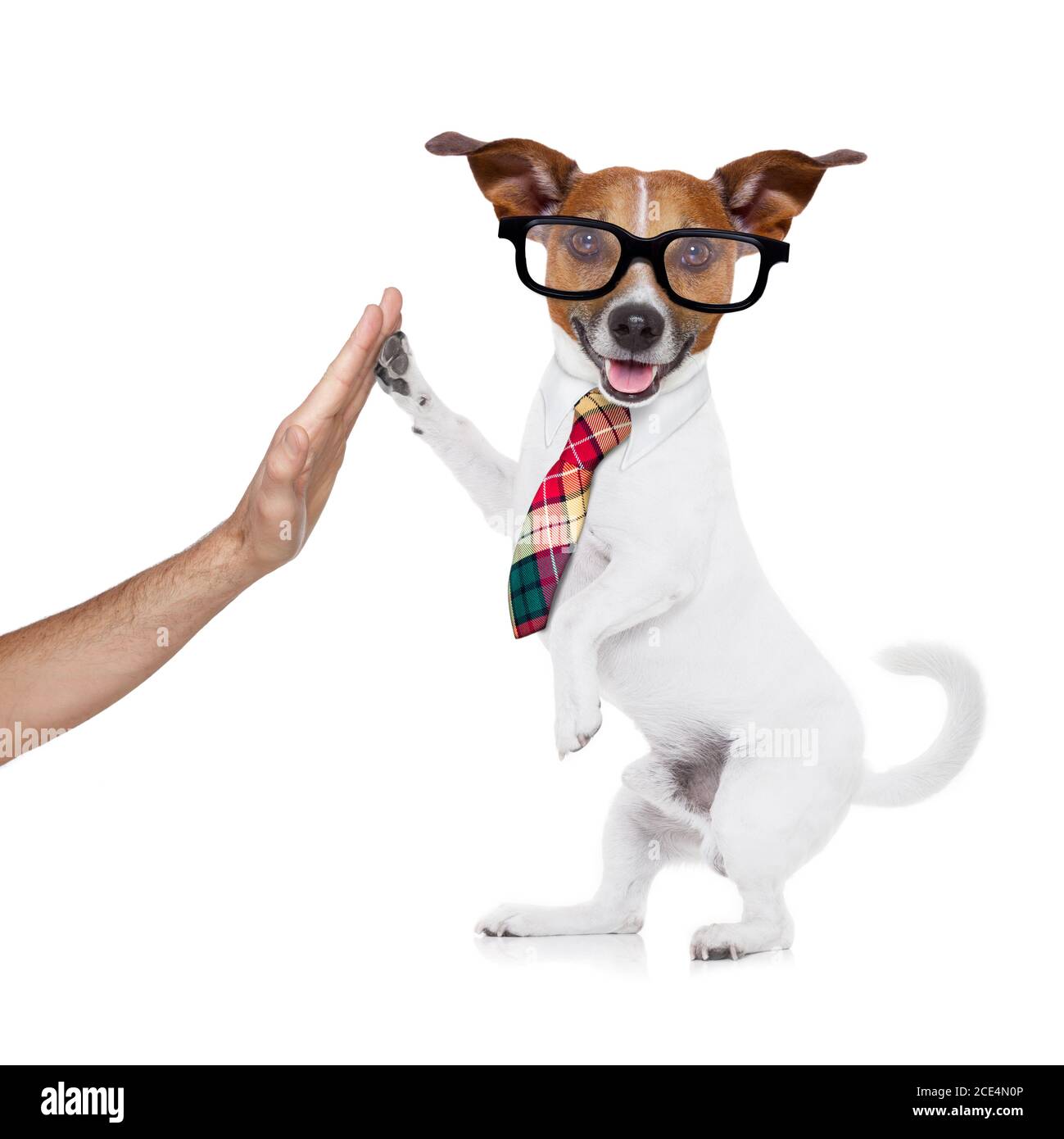 High five hand meeting Cut Out Stock Images & Pictures - Alamy