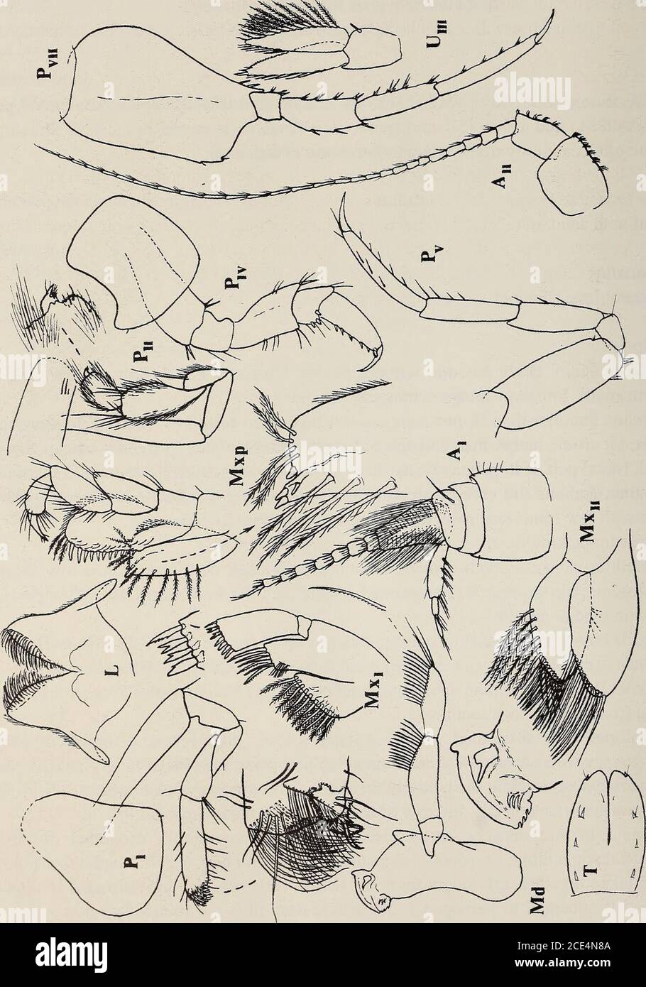 Trapeziform hi-res stock photography and images - Alamy