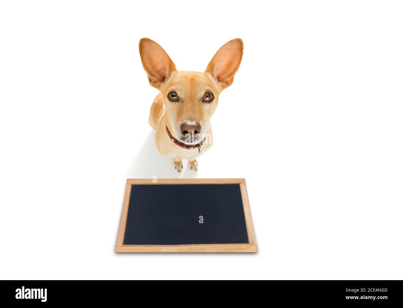 Job owner Cut Out Stock Images & Pictures - Alamy