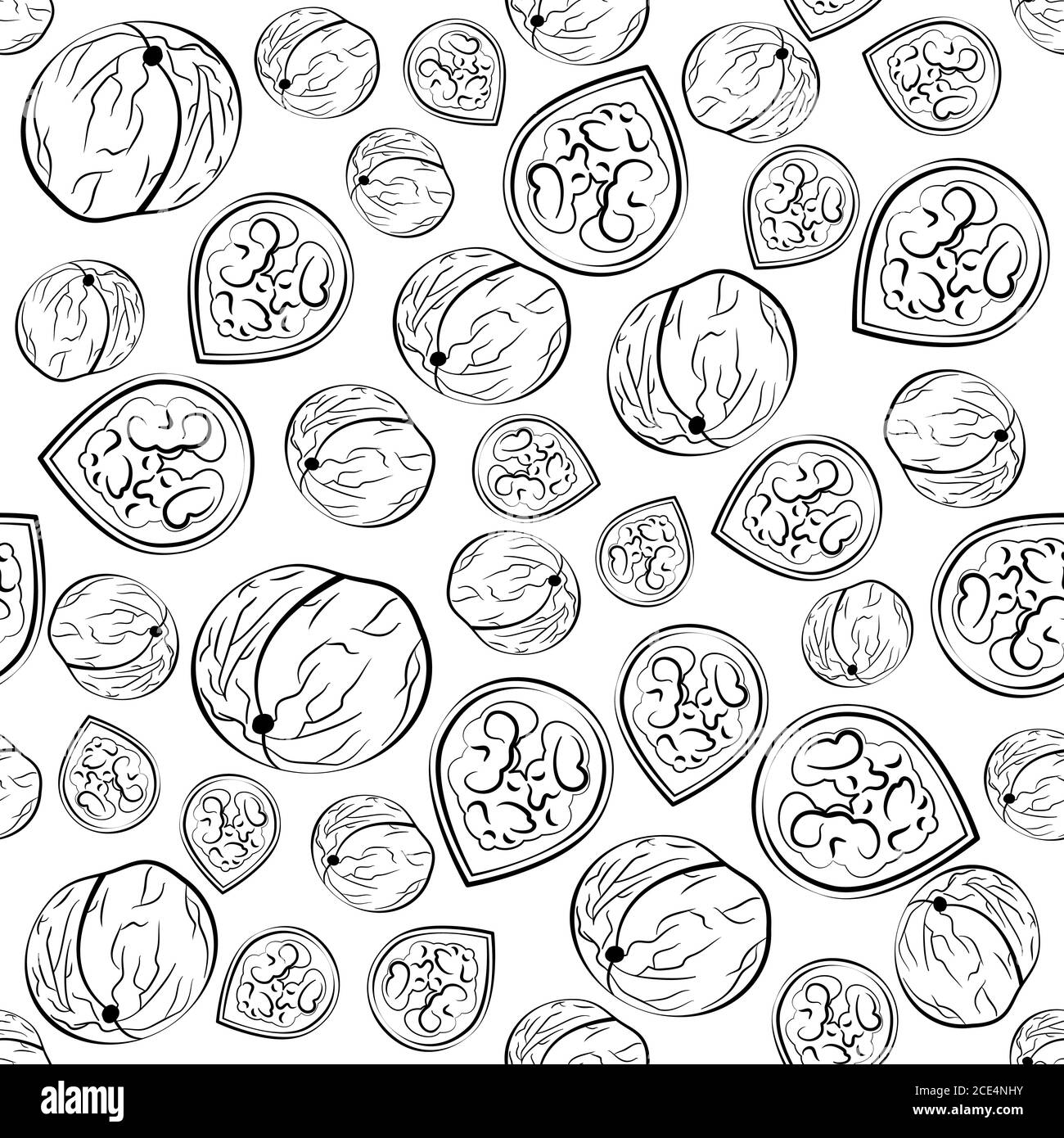 Walnut sketch print Monochrome vector illustration in two-tone colors ...