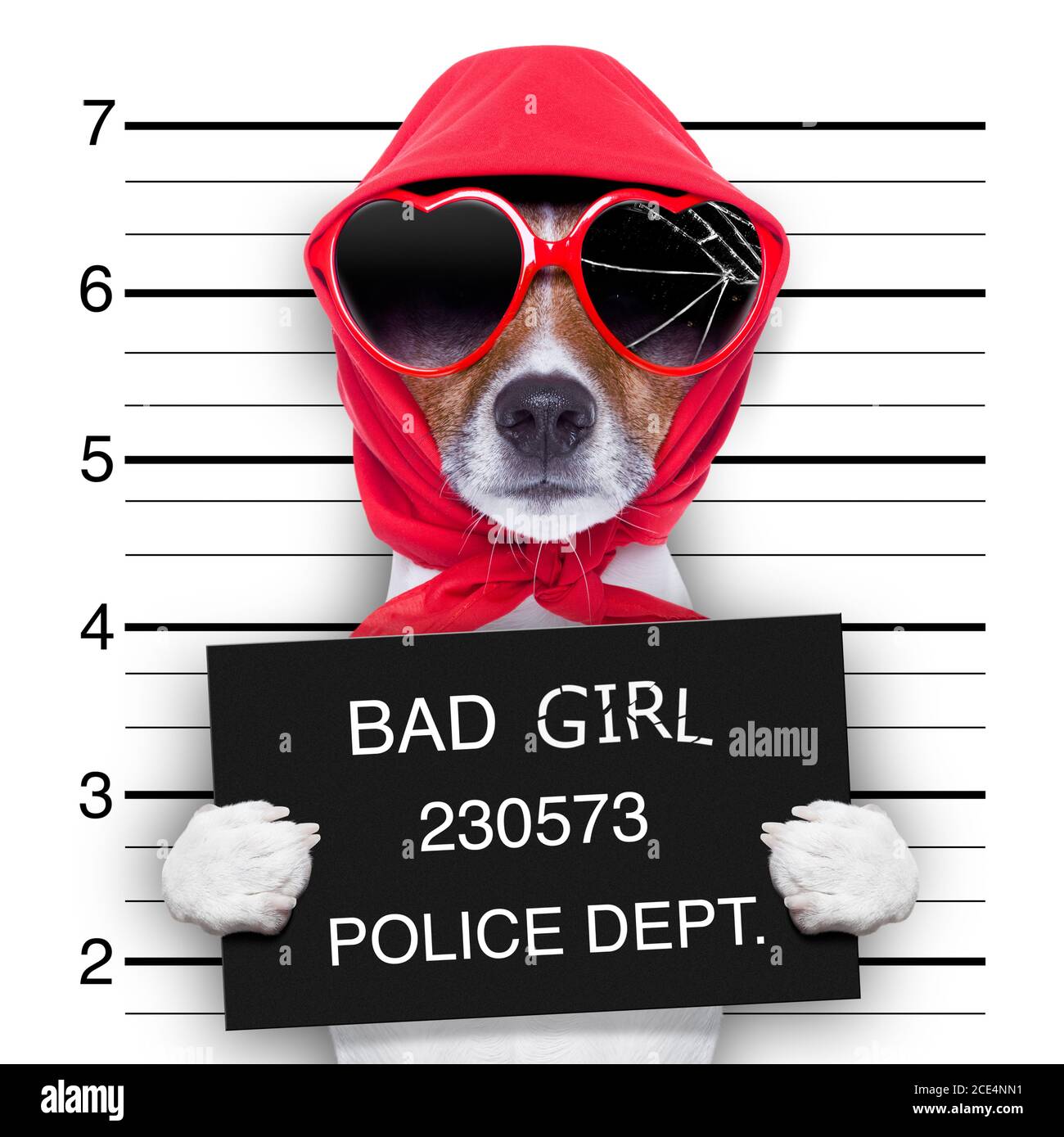 Police mugshot woman hi-res stock photography and images - Alamy