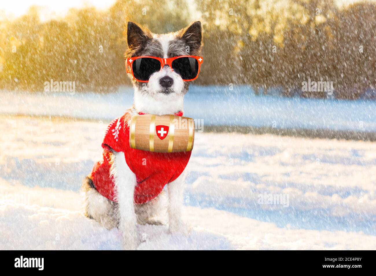 Icy dog hi-res stock photography and images - Alamy