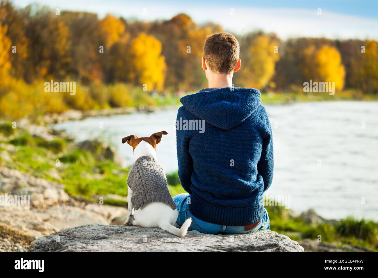 Back view of boy and dog hi-res stock photography and images - Alamy
