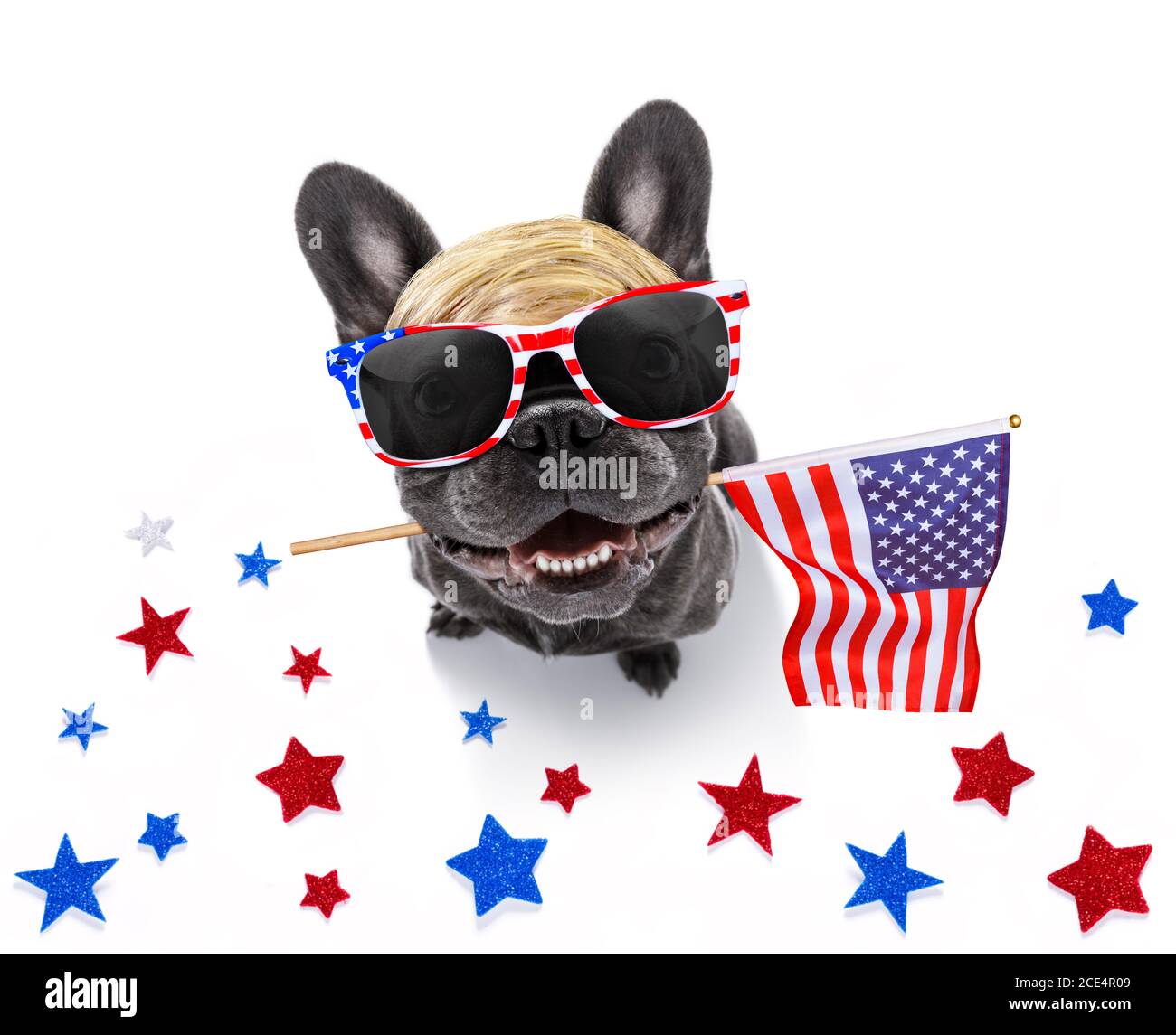 independence day 4th of july dog Stock Photo - Alamy