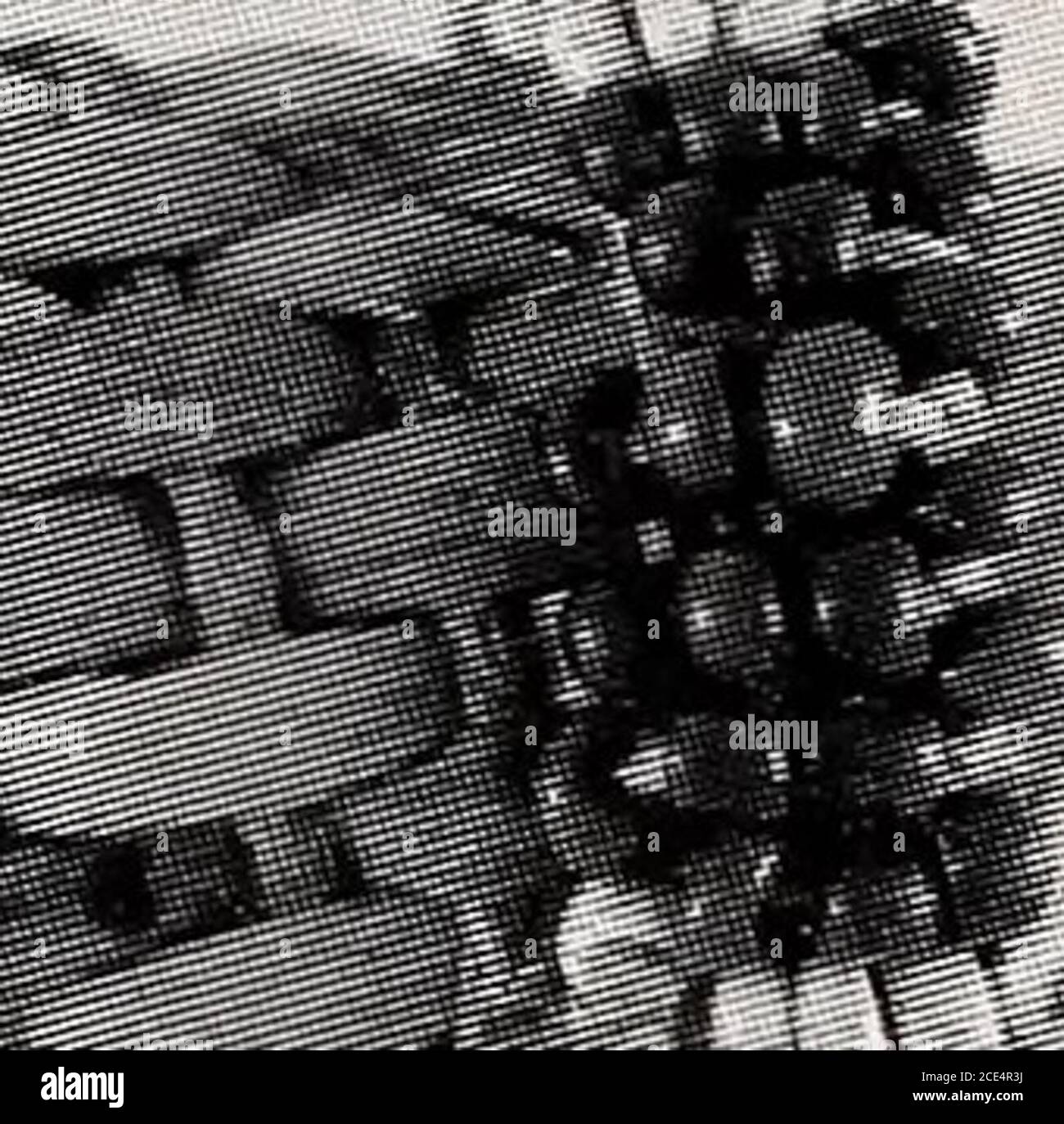 . Annals of the South African Museum = Annale van die Suid-Afrikaanse ...