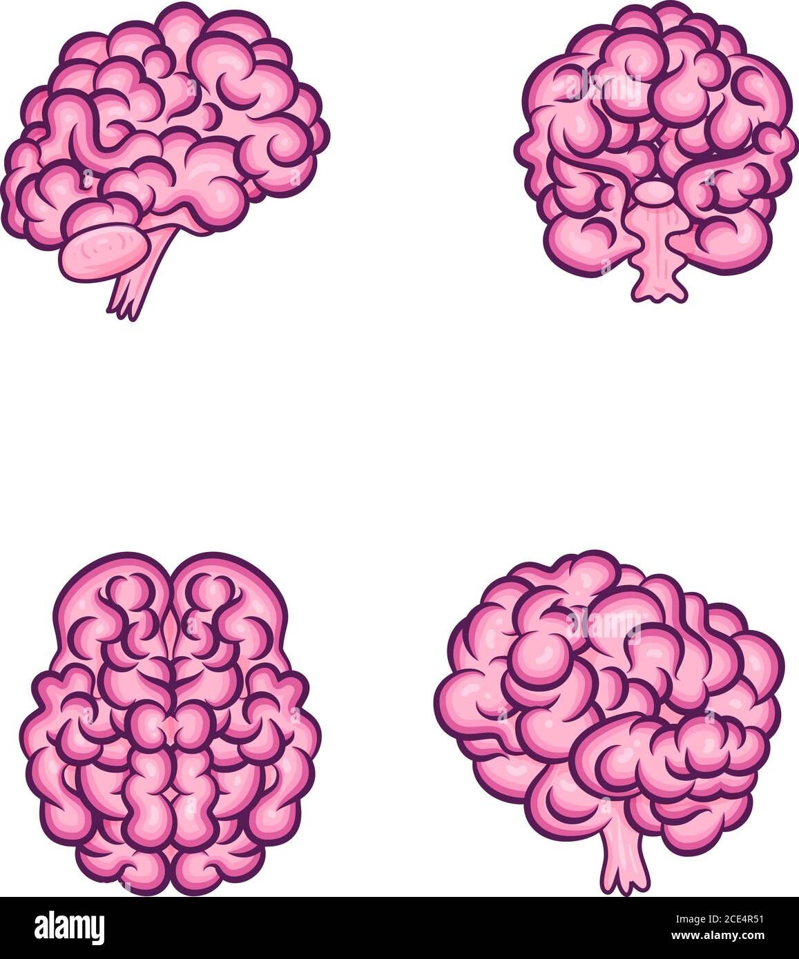 Stylized brain Cut Out Stock Images & Pictures - Alamy