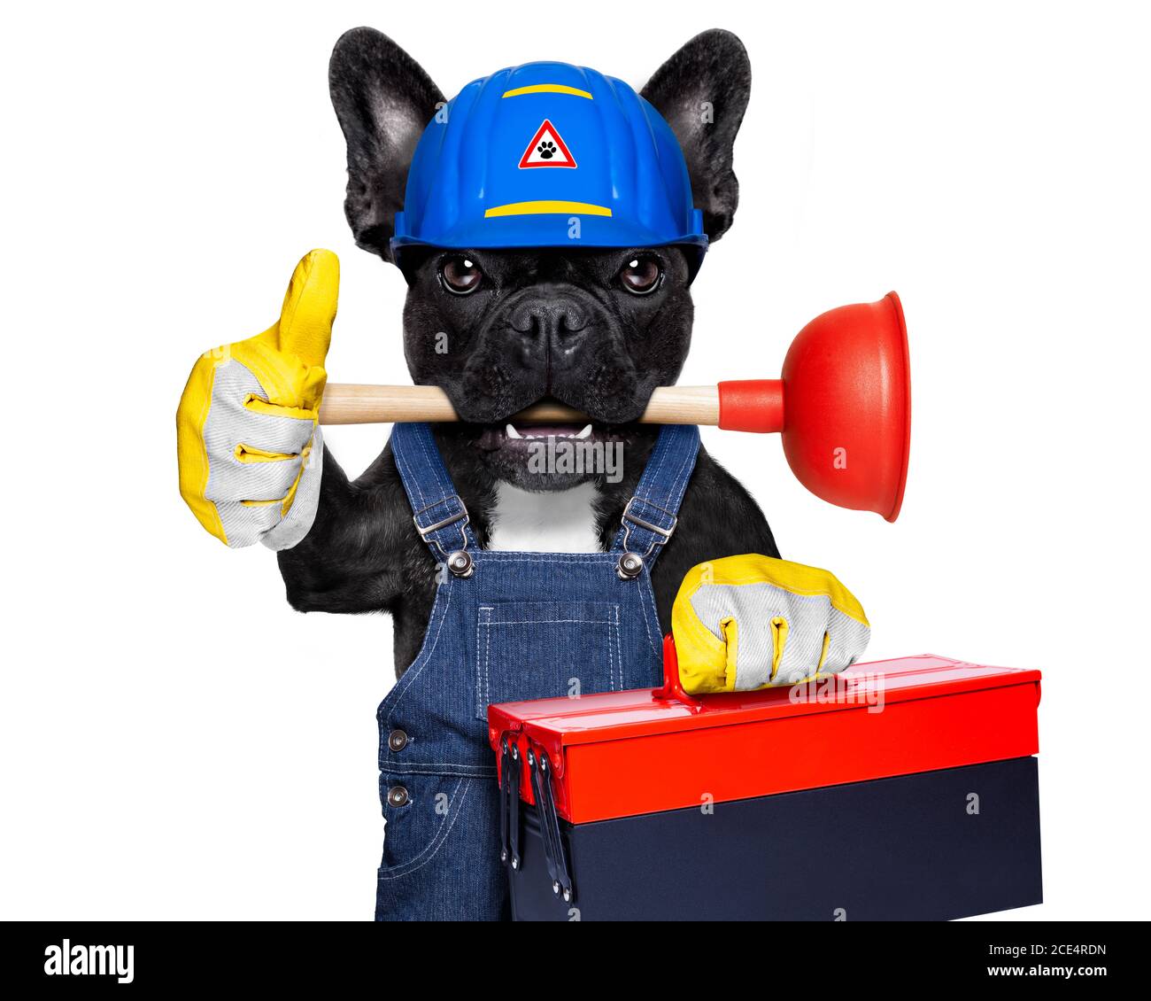 plumber dog with plunger Stock Photo - Alamy