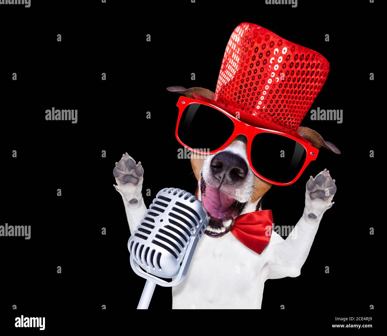 Singing dog hi-res stock photography and images - Alamy