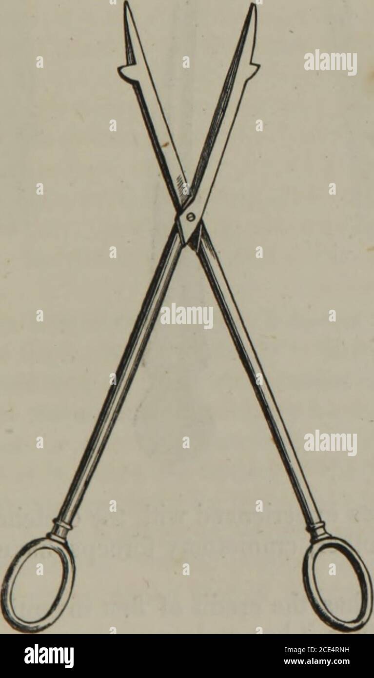 Midwifery instruments hi-res stock photography and images - Alamy