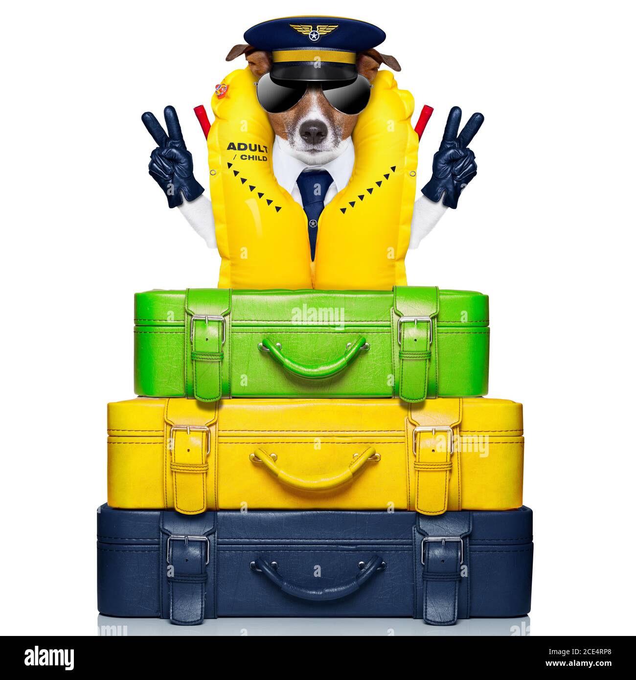 Captain dog hi-res stock photography and images - Alamy