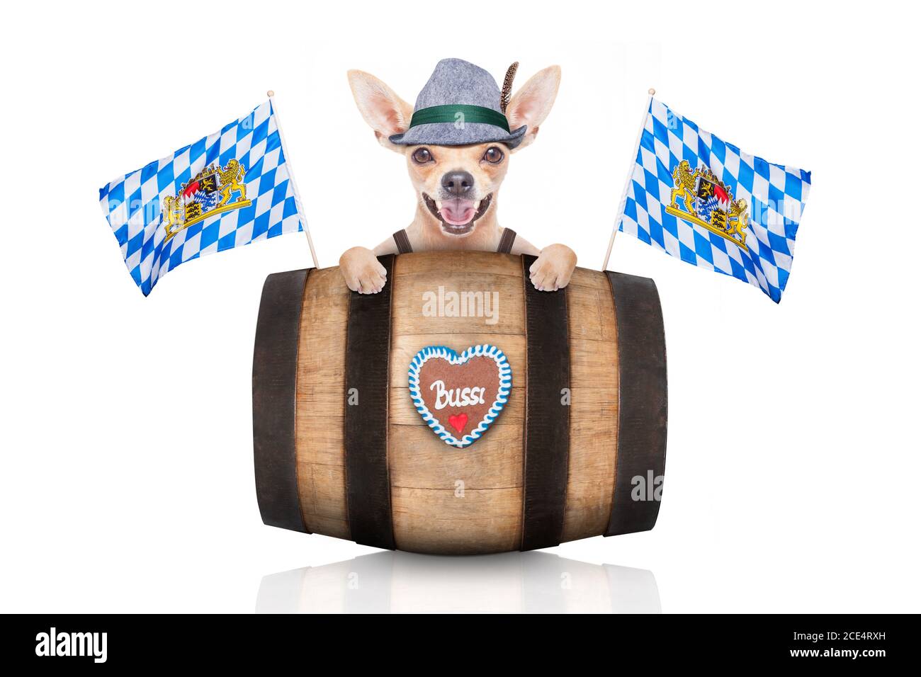 bavarian beer dog Stock Photo - Alamy