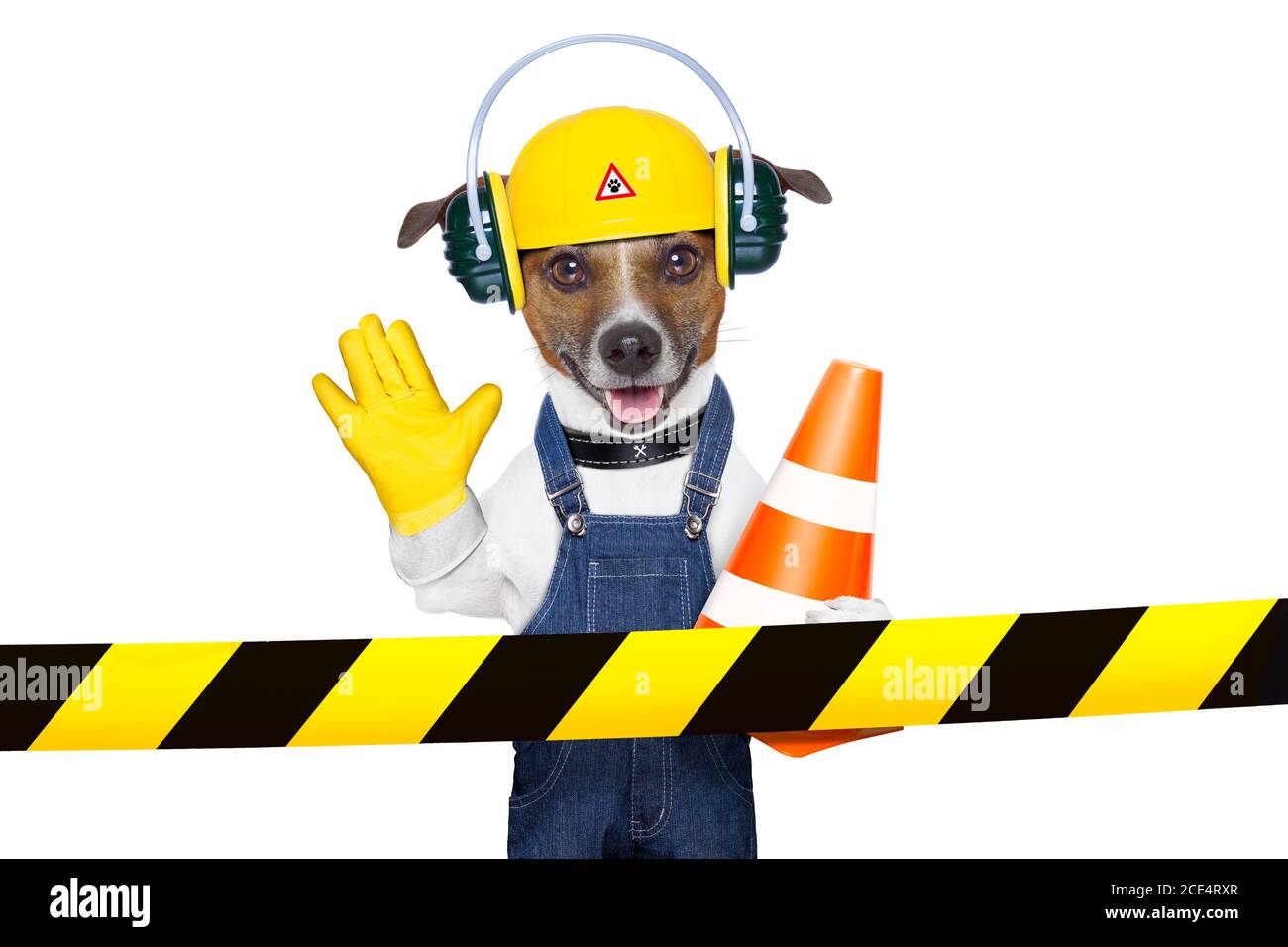 under construction dog Stock Photo - Alamy