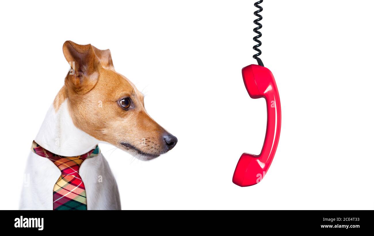 Work burnout concept Cut Out Stock Images & Pictures - Alamy