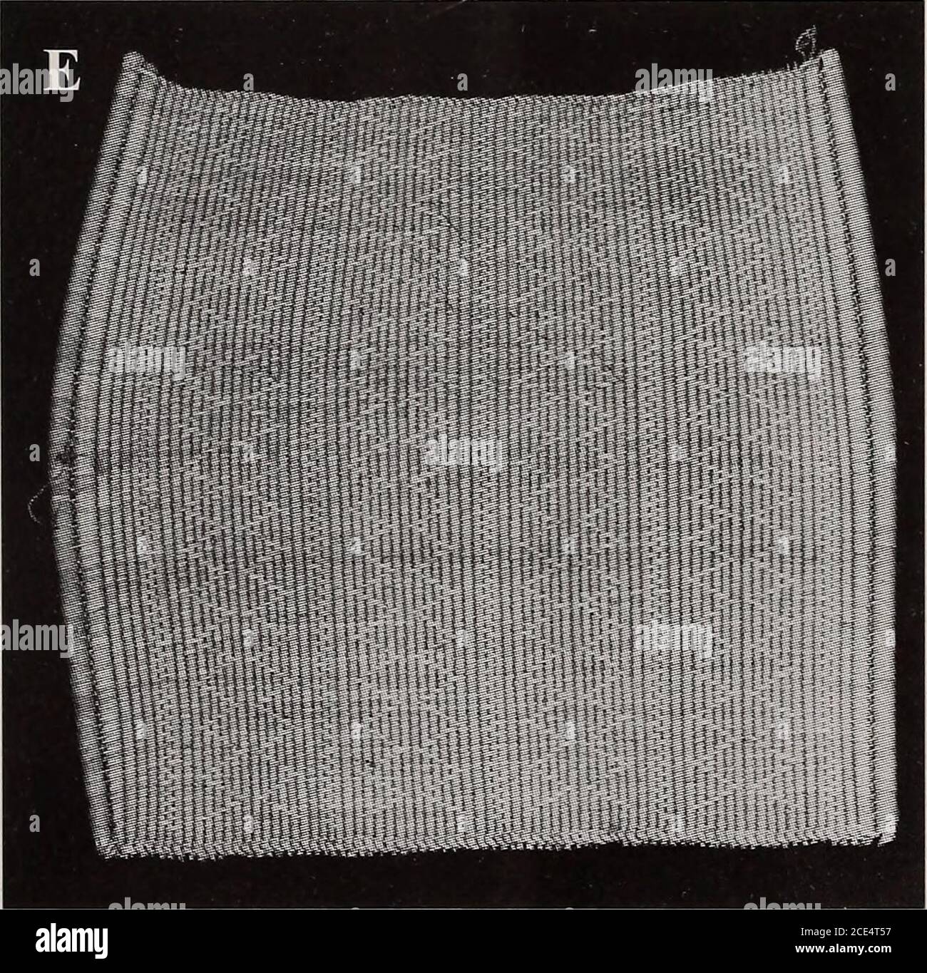 . Annals of the South African Museum = Annale van die Suid-Afrikaanse ...