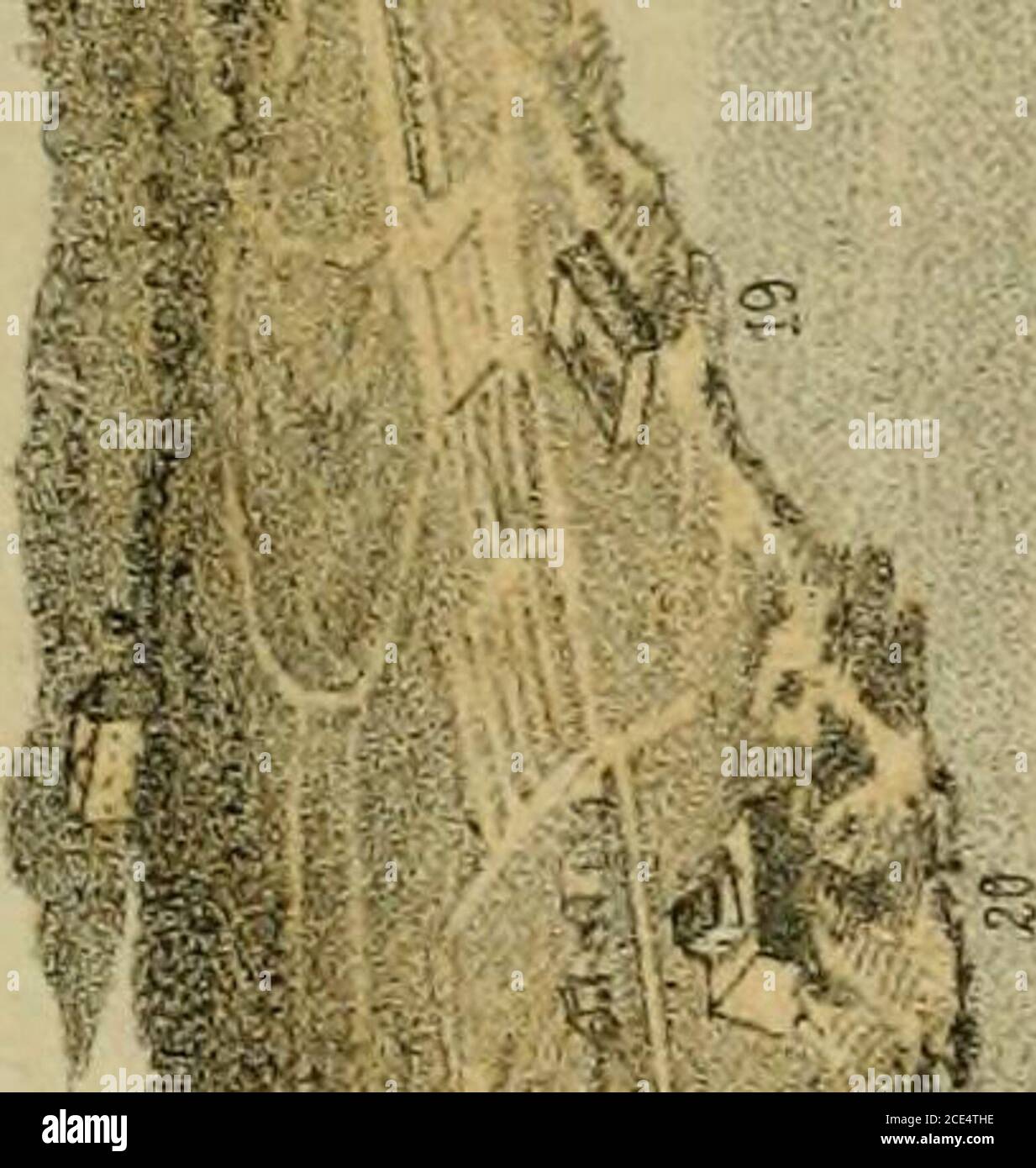 Pictorial history of the Russian War, 1854-5-6 : with maps, plans, and ...