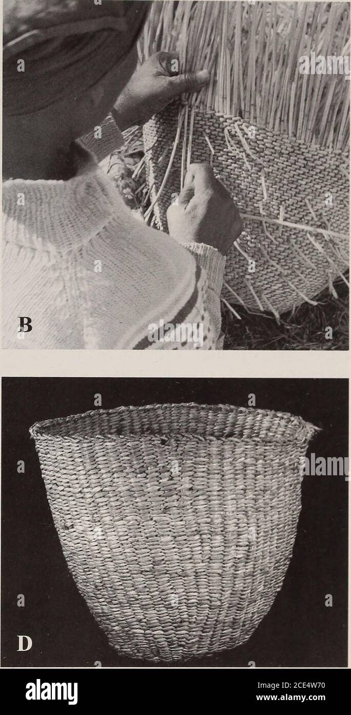 Mpondo woman hi-res stock photography and images - Alamy